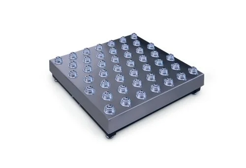 Rice Lake Bench scales — ASC