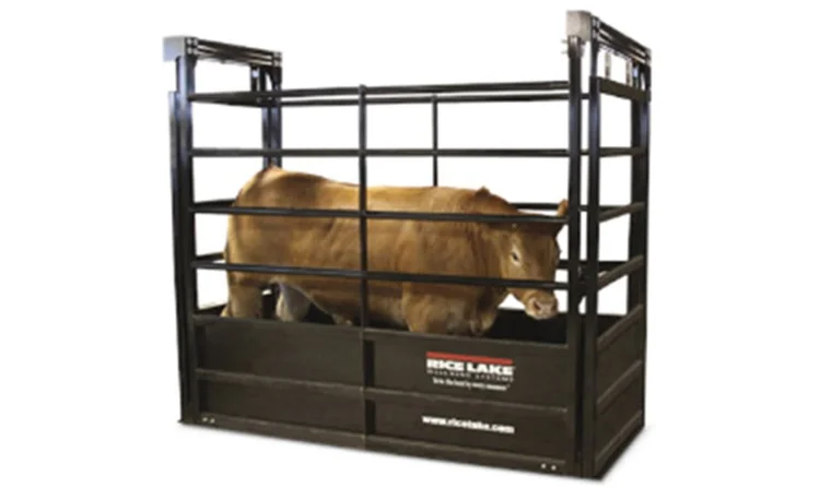 Top Livestock Scales For Each Application — ASC