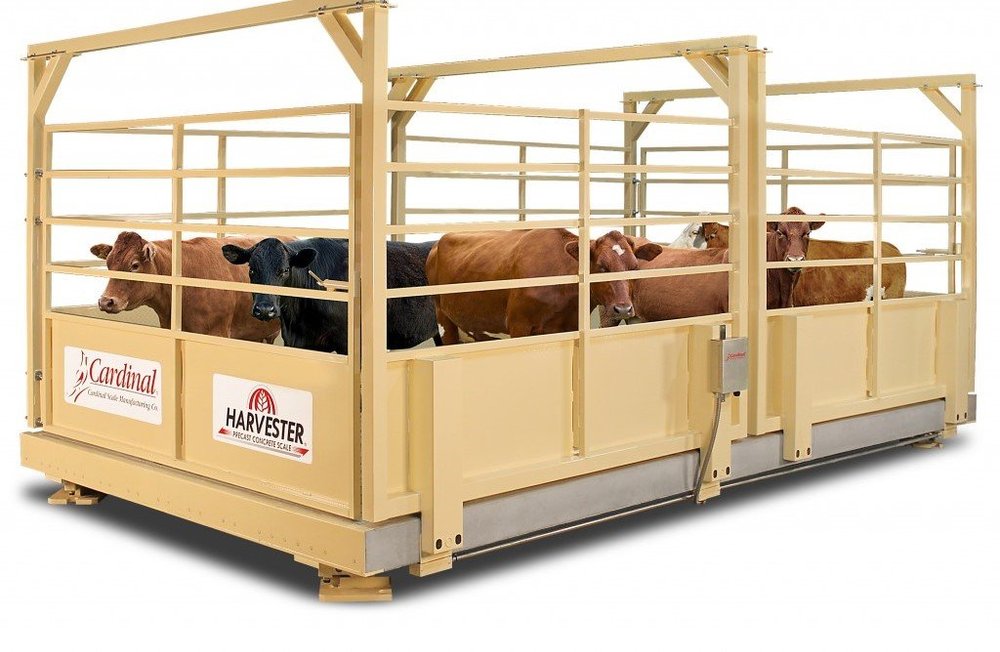 Livestock Scales 101 — ASC