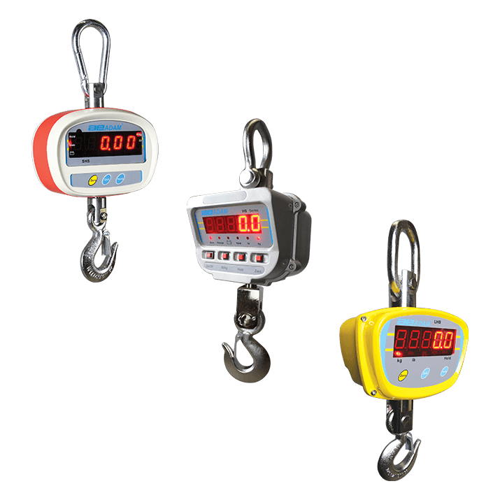 The Guide to Crane Scales — ASC