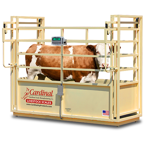 cardinal livestock scales — ASC