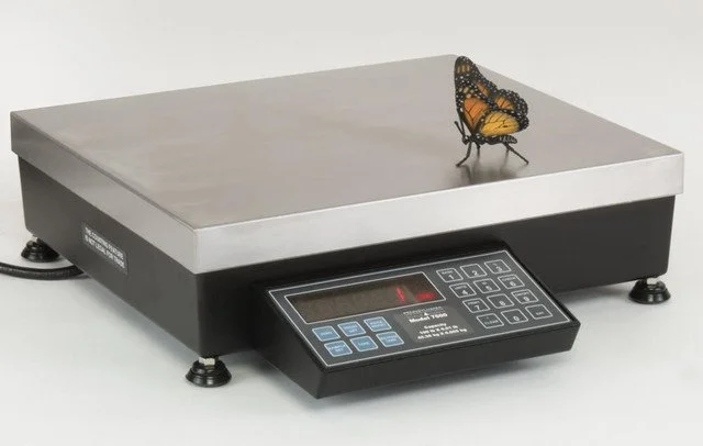 Counting Scales — ASC