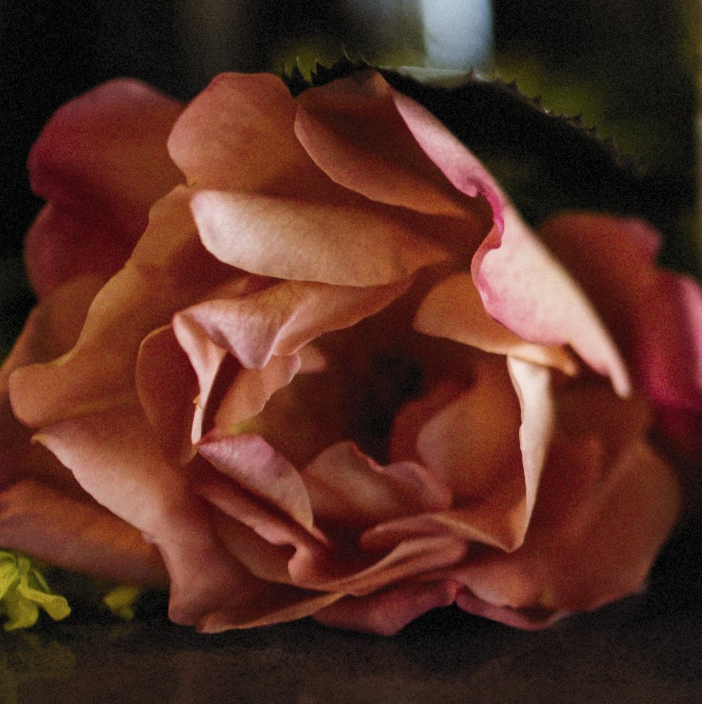 THCV Tincture for energy, focus and euphoria — COSMIC VIEW