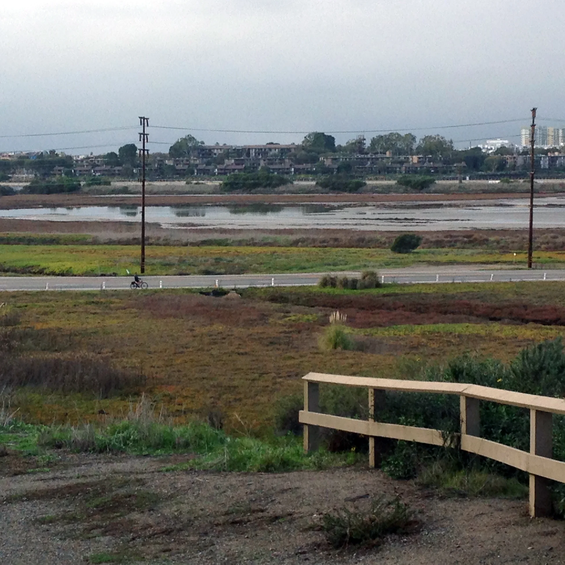 A Rainy Year Serves to Remind Us — Los Angeles Audubon Society