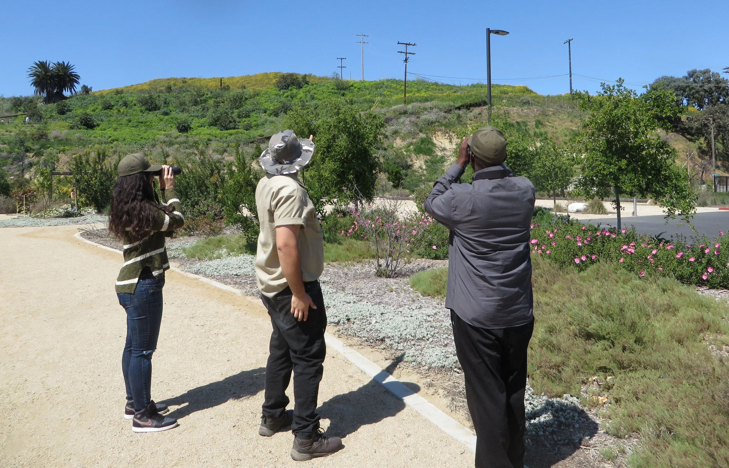 Weekly Bird Walk, Each Thursday, Stoneview Nature Center — Los Angeles ...