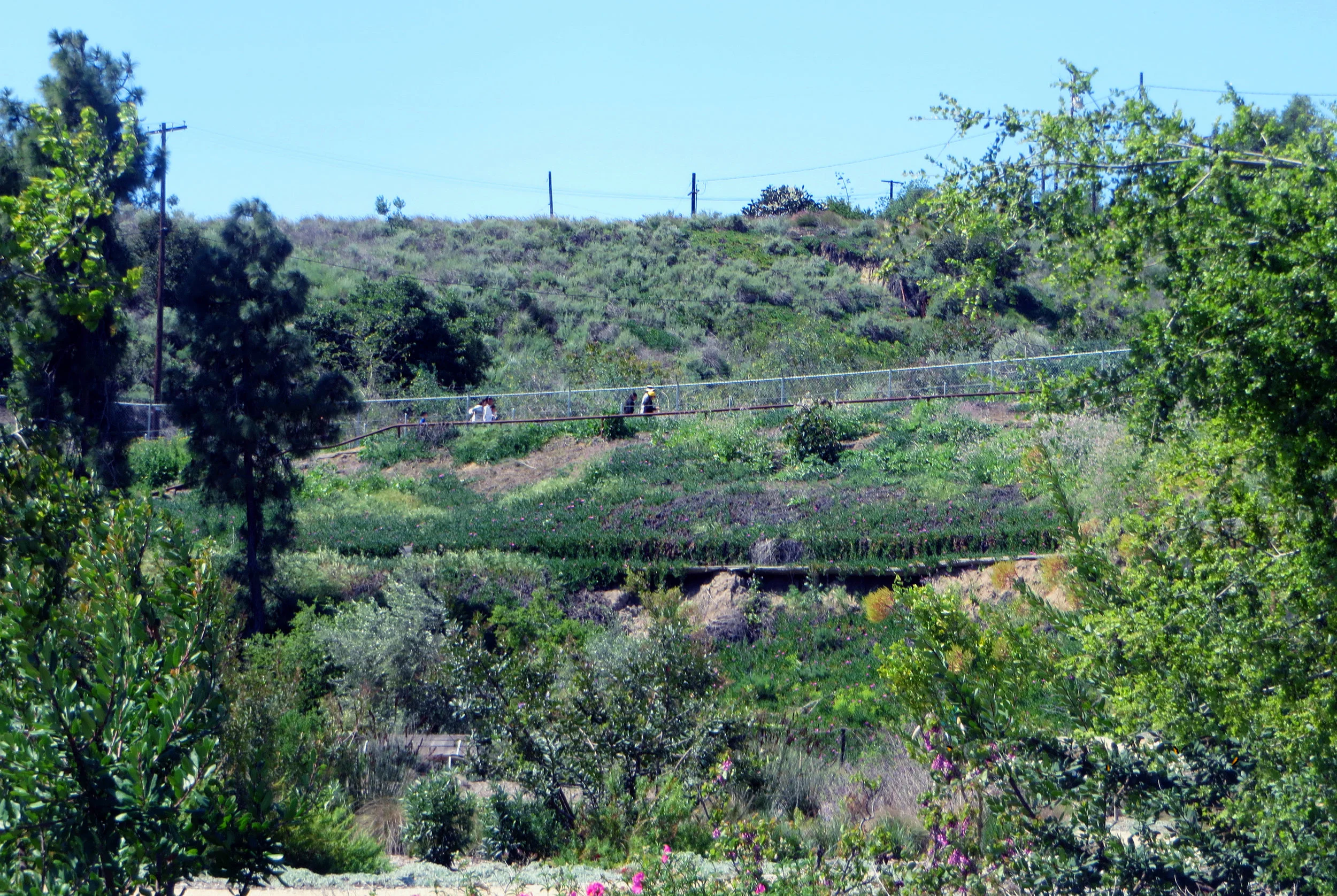 Weekly Nature Walk Thursdays at Stoneview Nature Center — Los Angeles ...