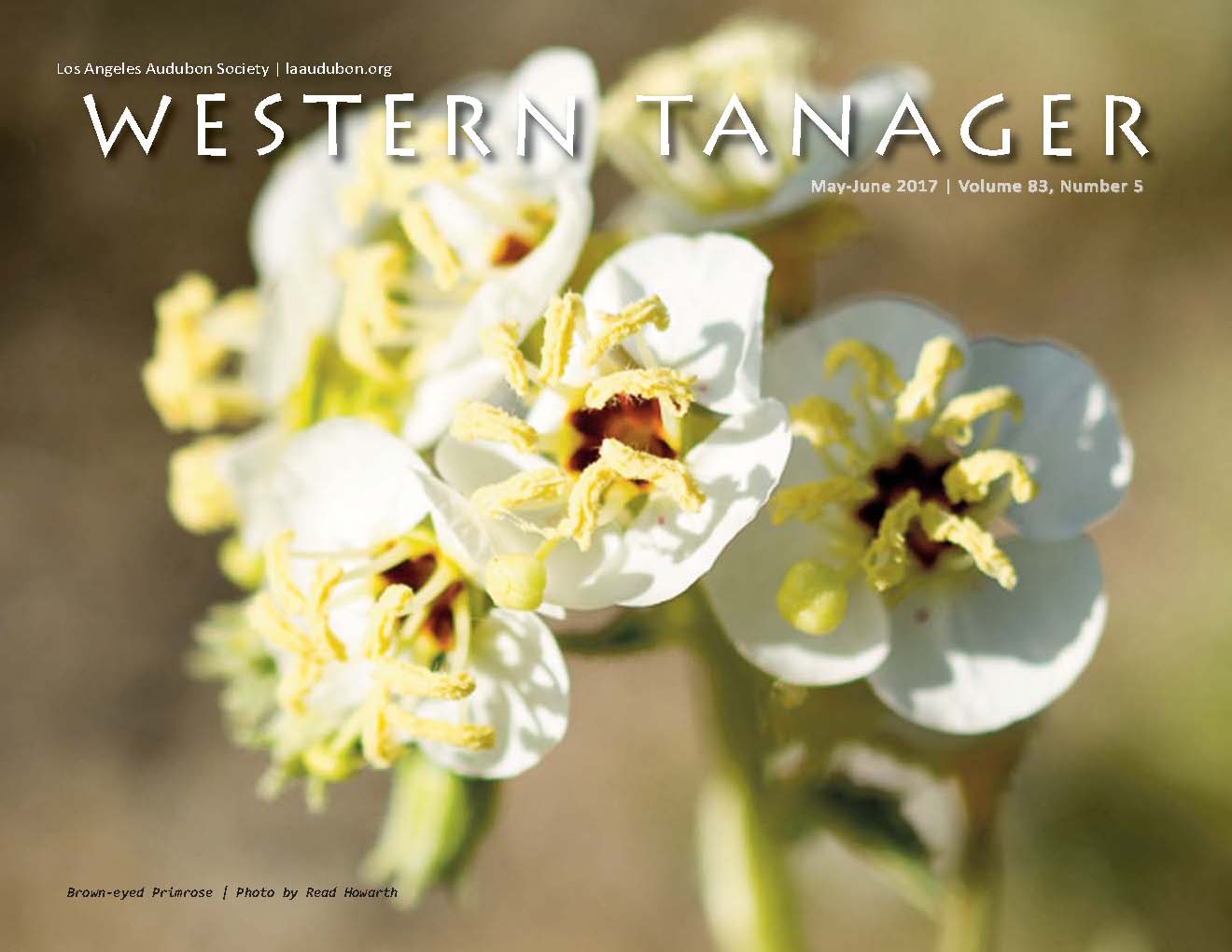 Western Tanager, Vol. 83 No. 5, May–June 2017 — Los Angeles Audubon Society
