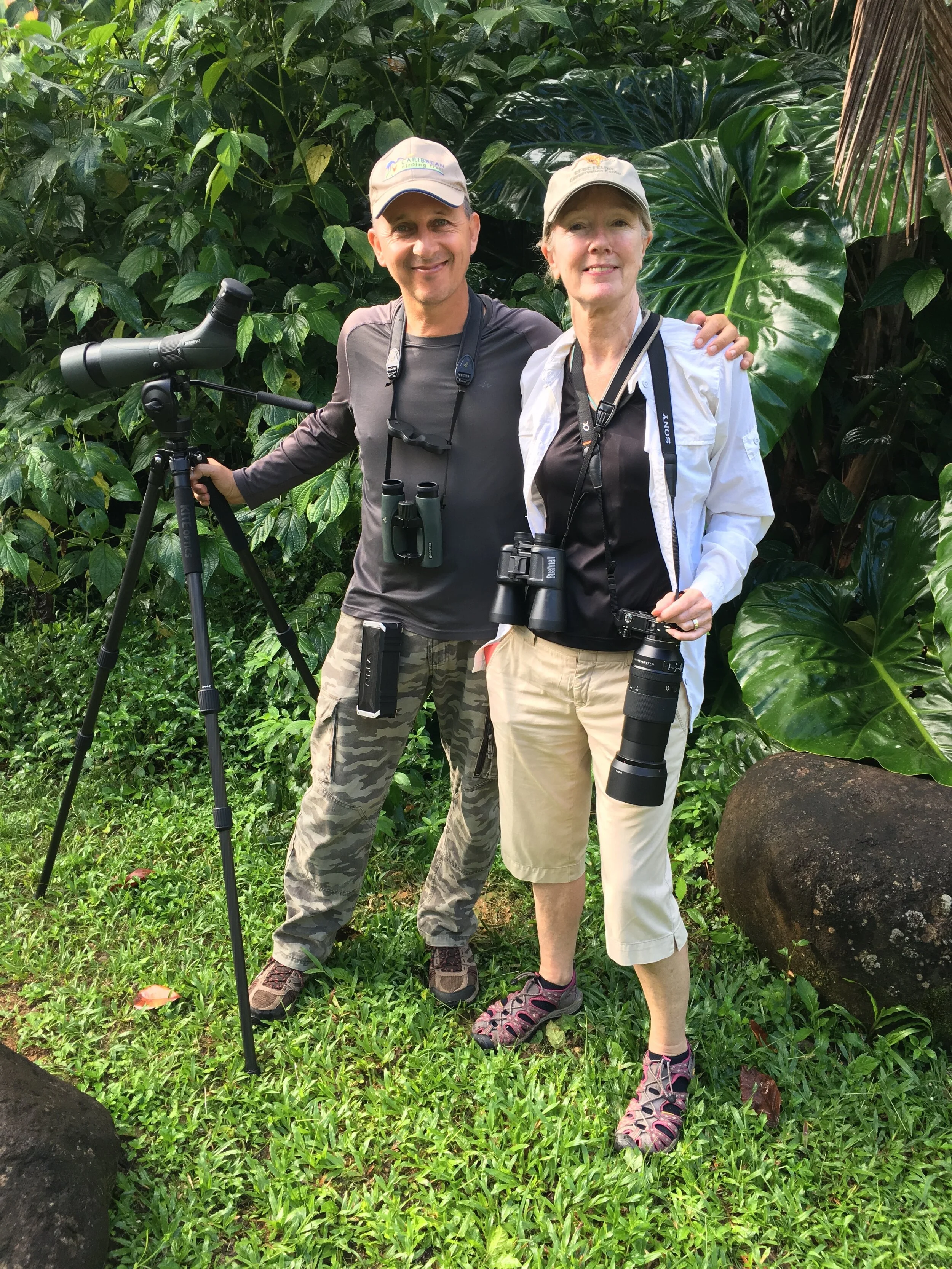 Winging it: Discovering the Caribbean Birding Trail — Los Angeles ...