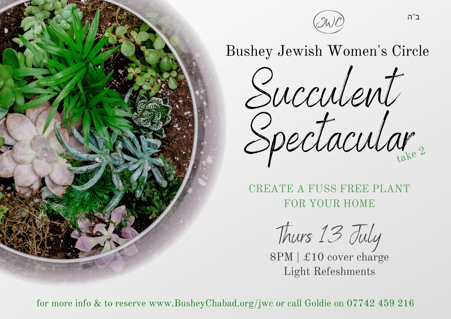 JWC Succulent Spectacular Take 2 | Welcome to Bushey Chabad | Jewish ...