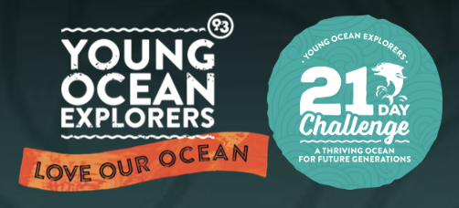 School Events — Cockle Bay School