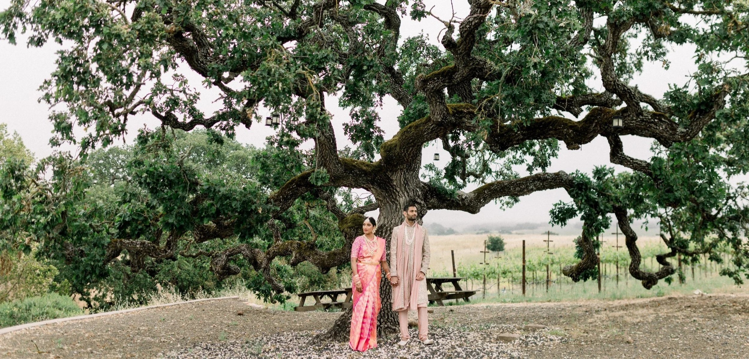 Limelight Productions | Wedding & Event Planner SF Bay Area, CA