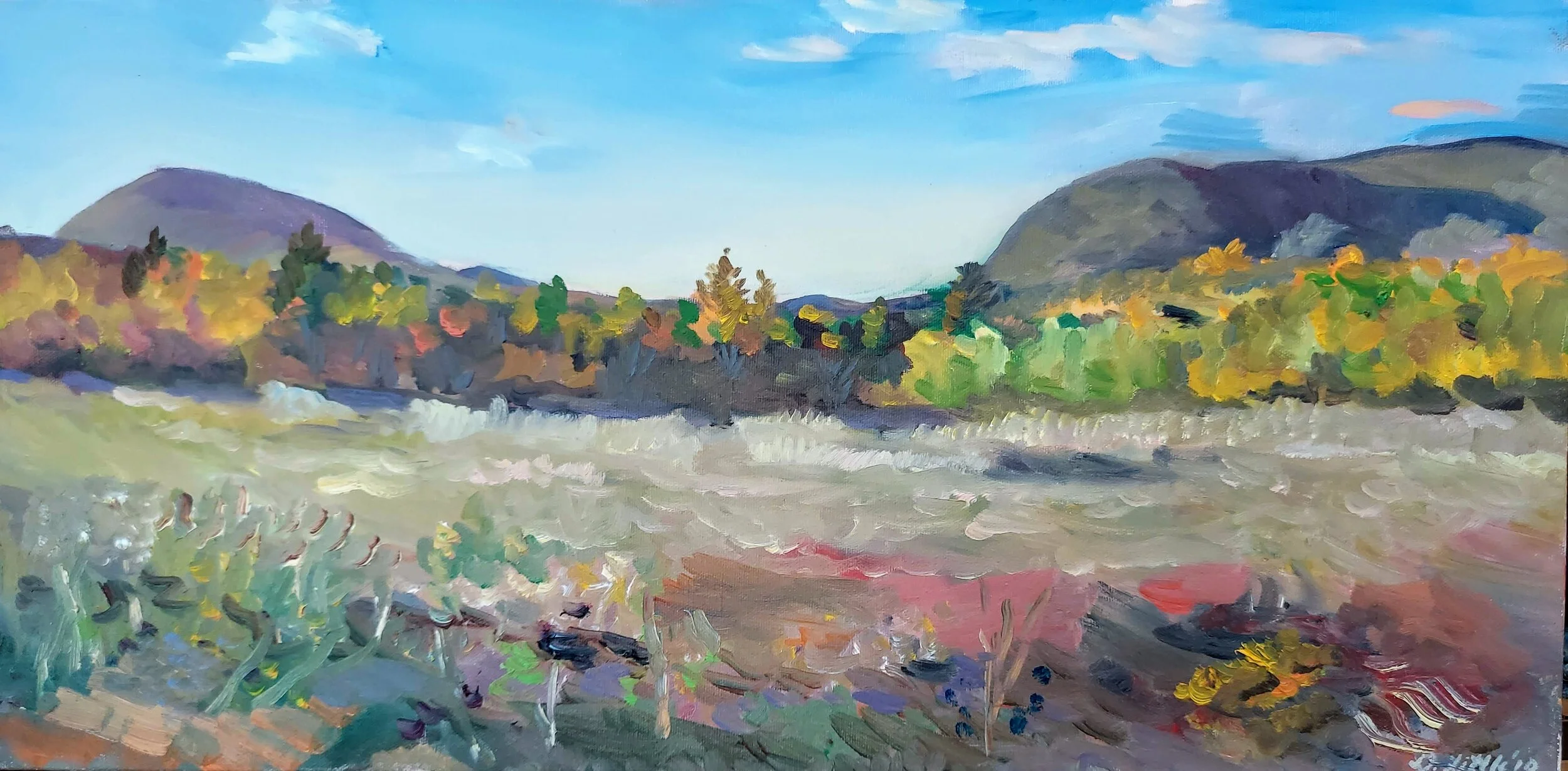 Gallery — David Little Art