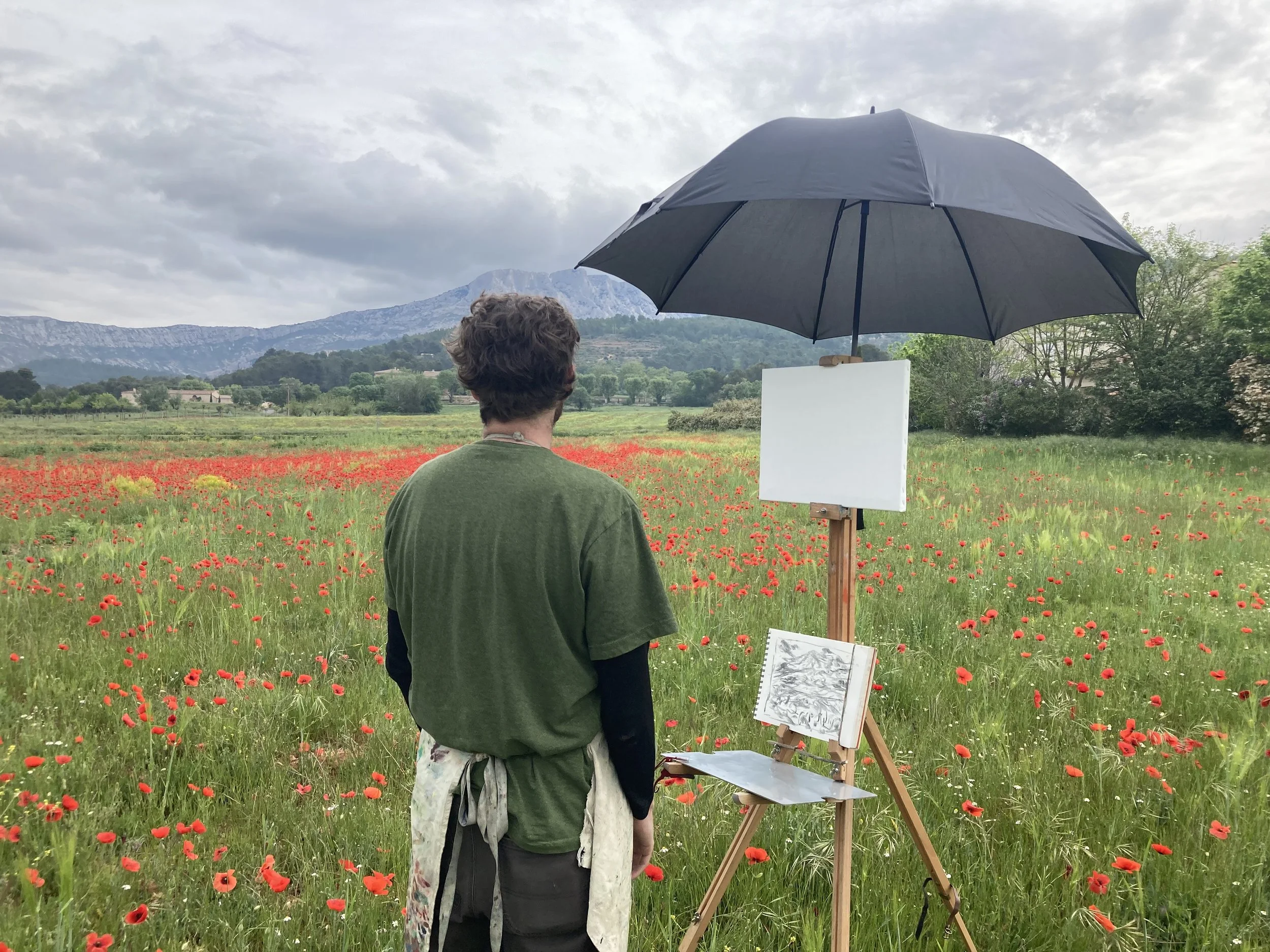 Home — JOHN SPRINGER ARTWORK