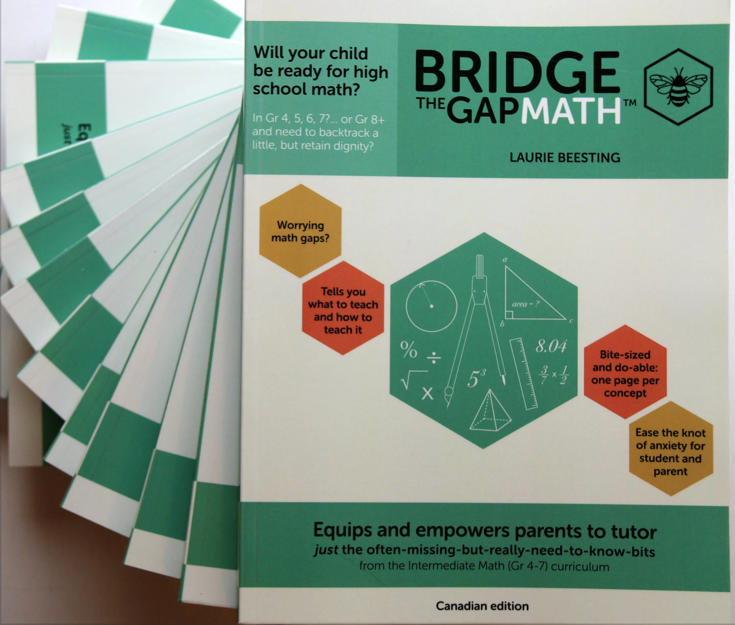 Testimonials — Bridge the Gap Math (Ca/US)