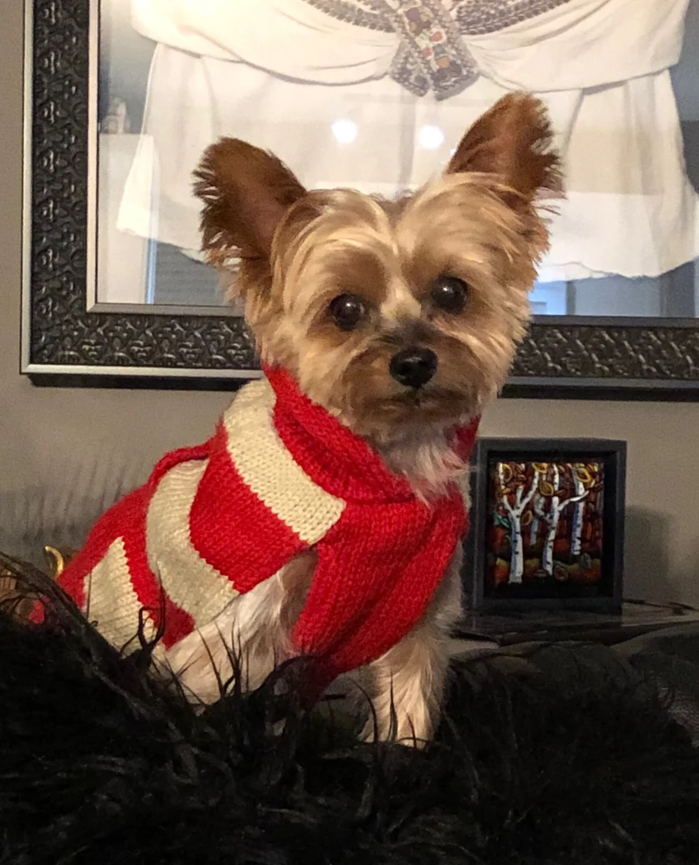 Team — Bottom Line Productions