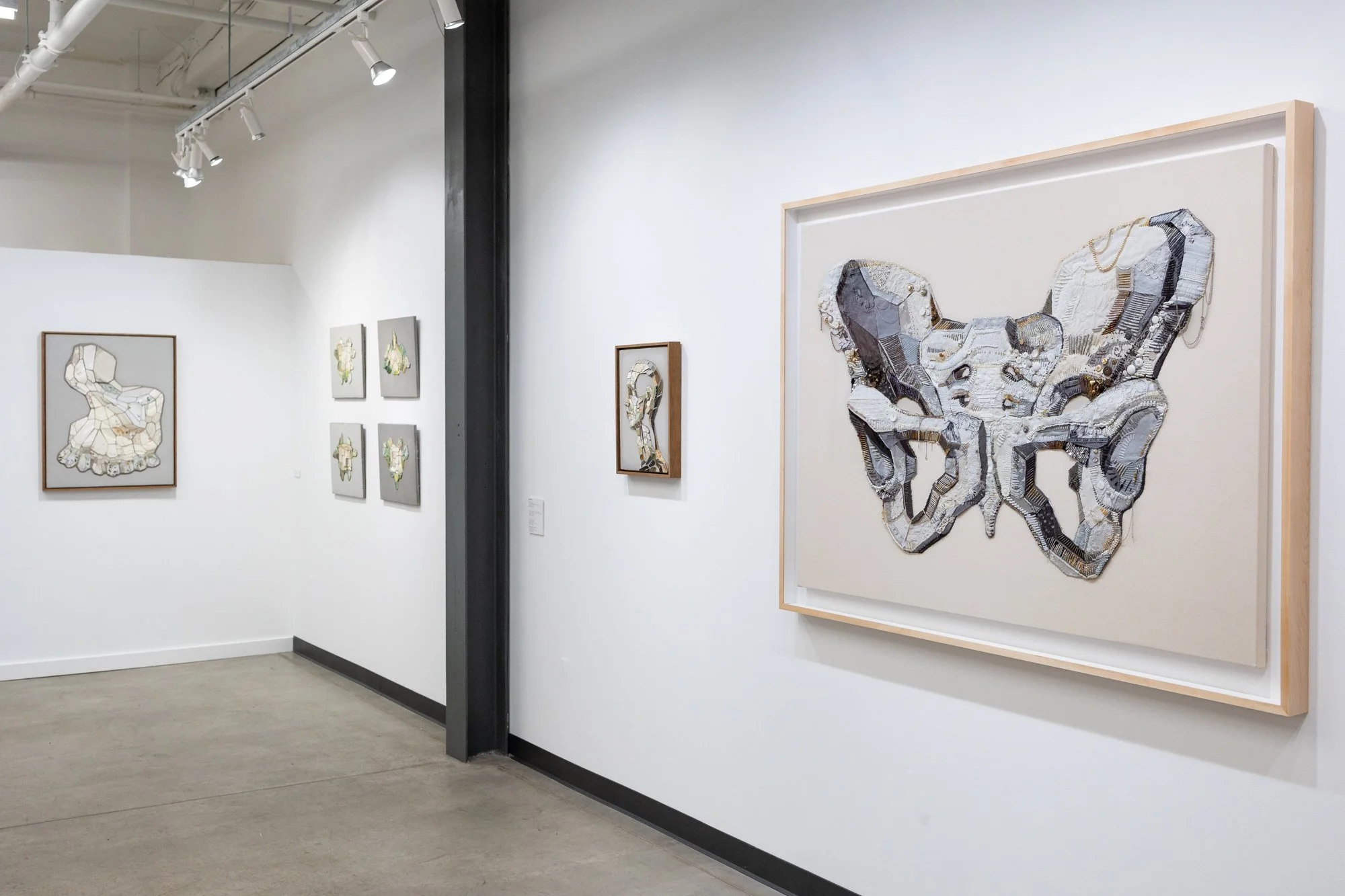 "Anatomy Of" Exhibition Installation by Mary Lacy @ Soapbox Arts ...