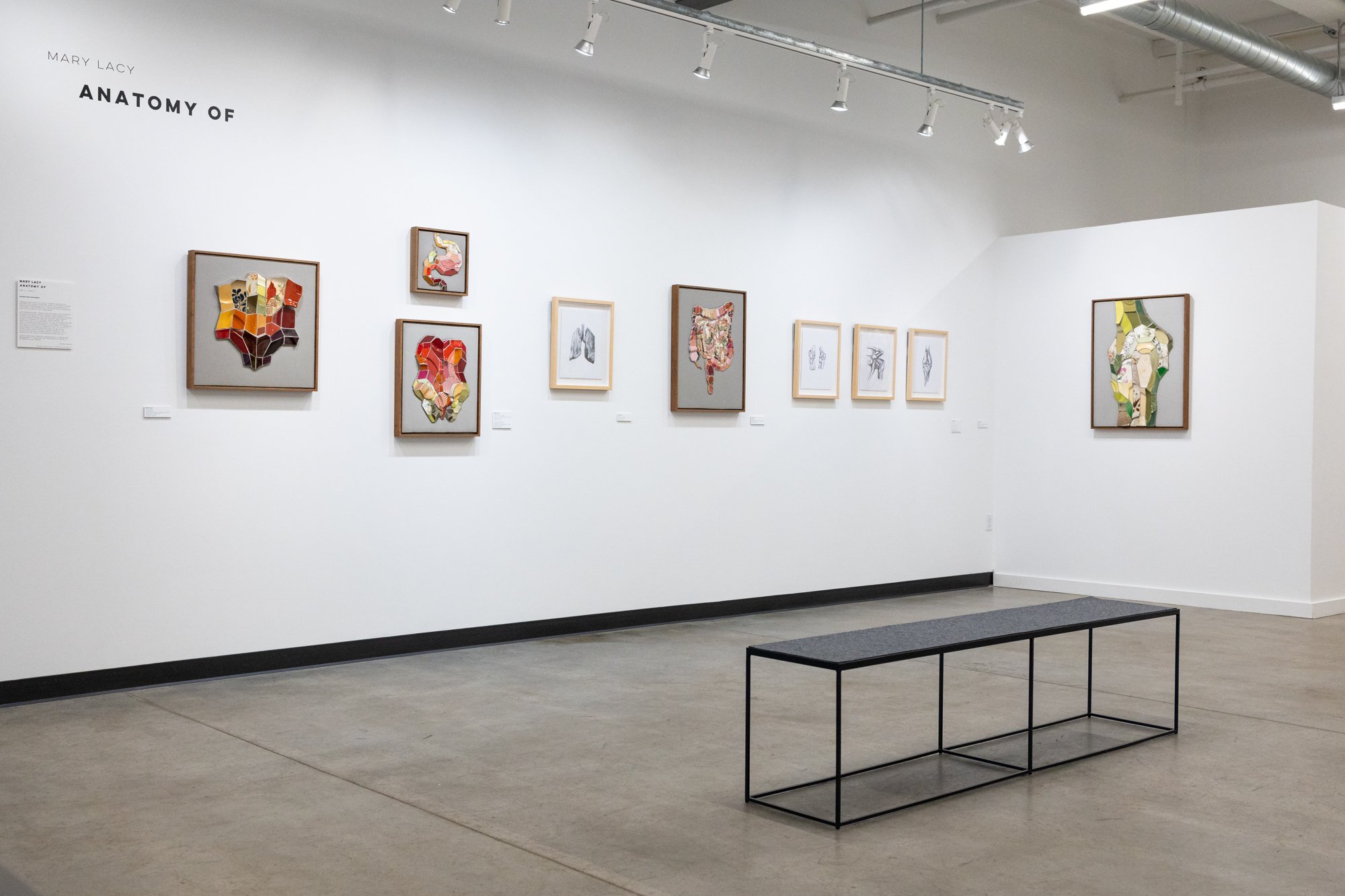 Mary Lacy — Soapbox Arts