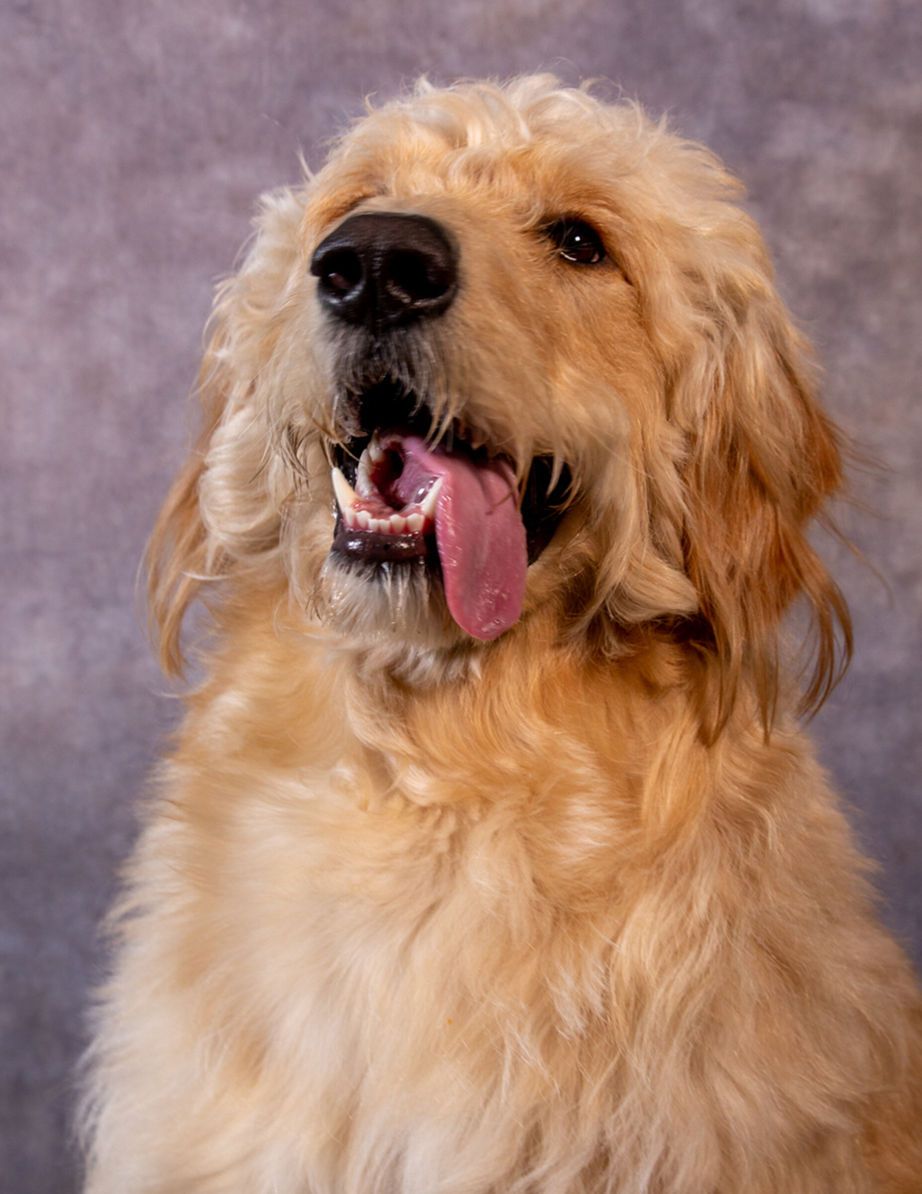 Fee-Only Financial Planner Cape Canaveral, FL — Rall Capital Management