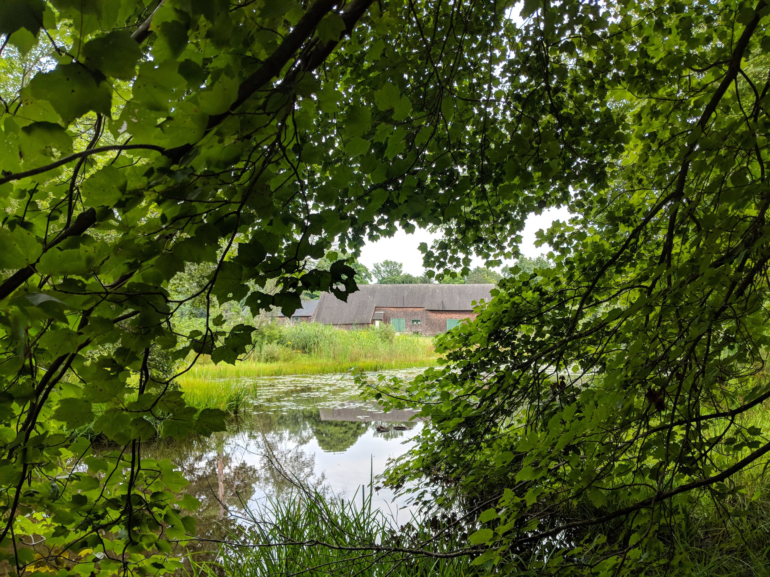 Osamequin Farm