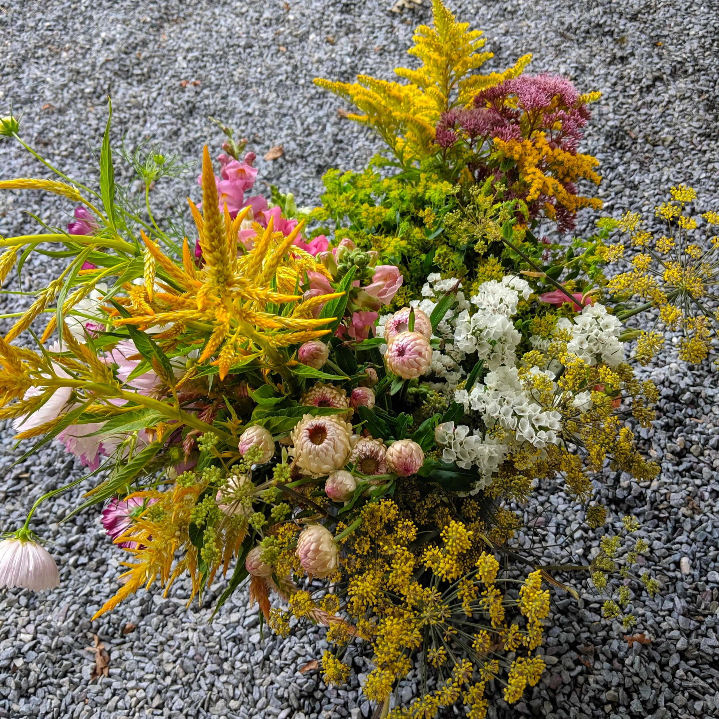 Flower Hill Farm Massachusetts | Best Flower Site