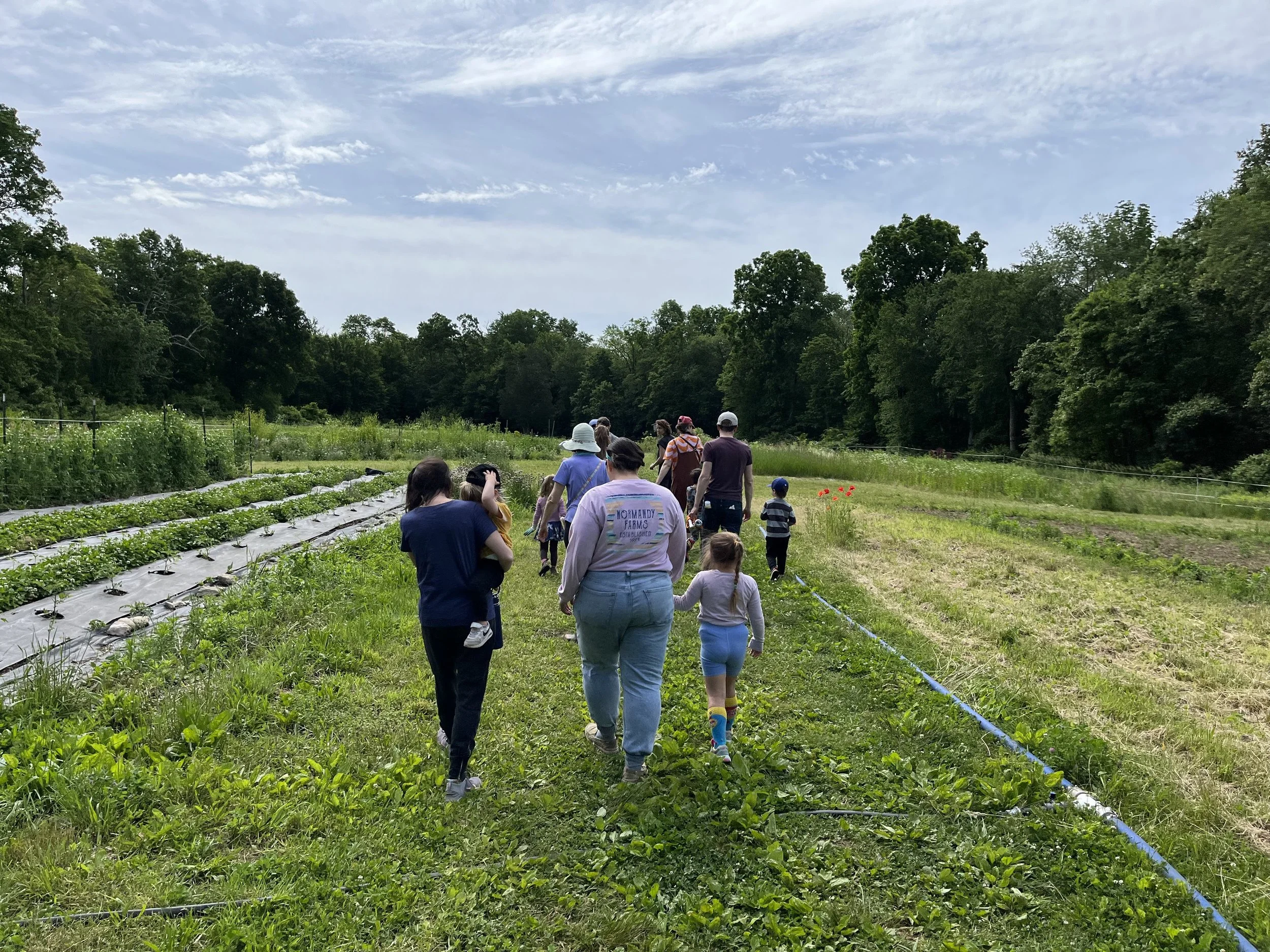 Shop — Osamequin Farm