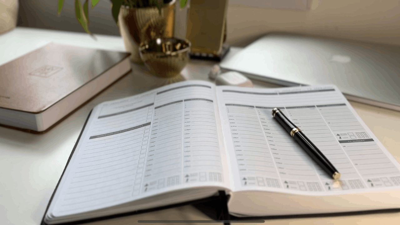 The Best Business Planner | Achieve Goals & Boost Productivity| MY PA