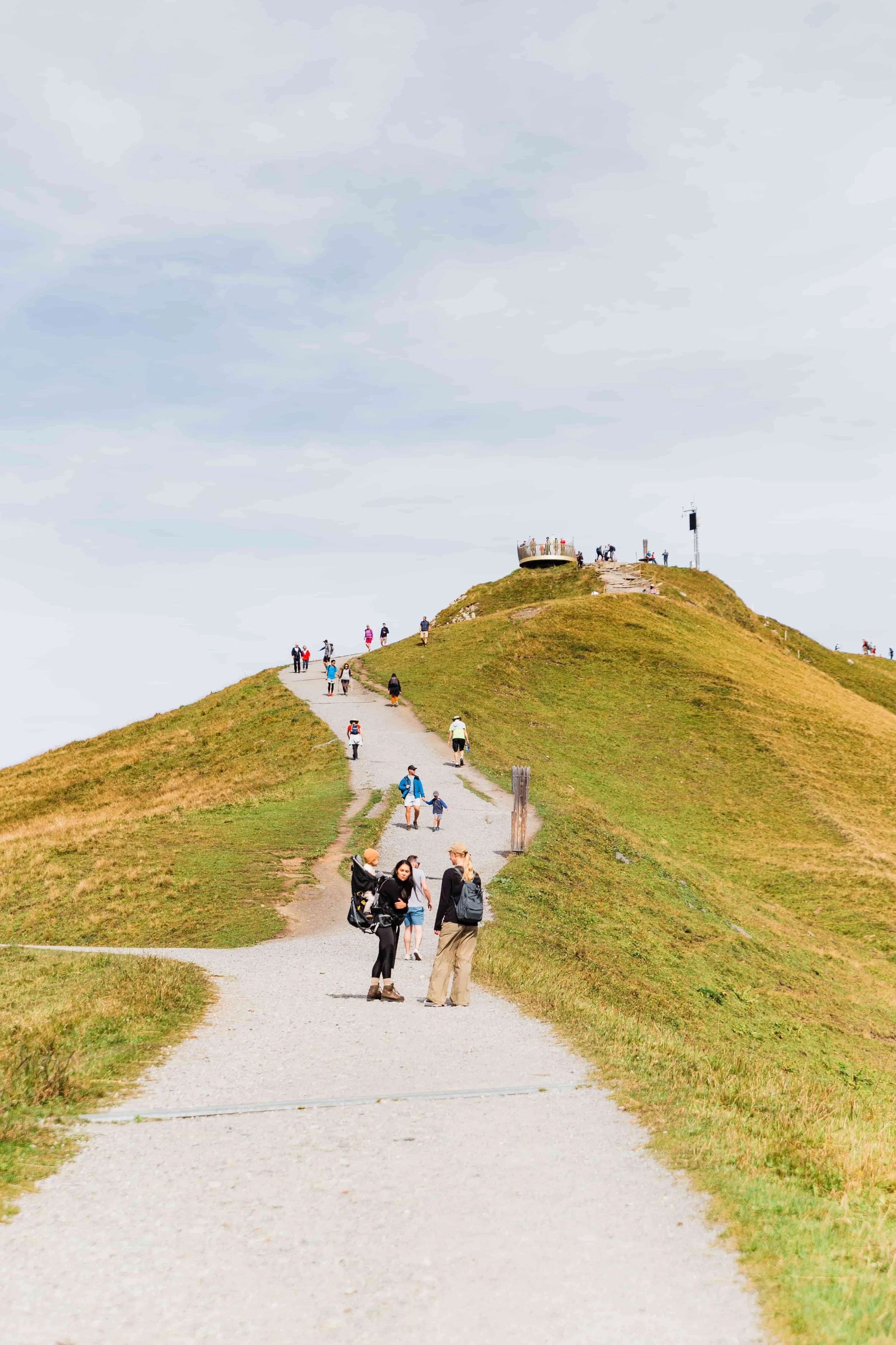 The Best of the Alps