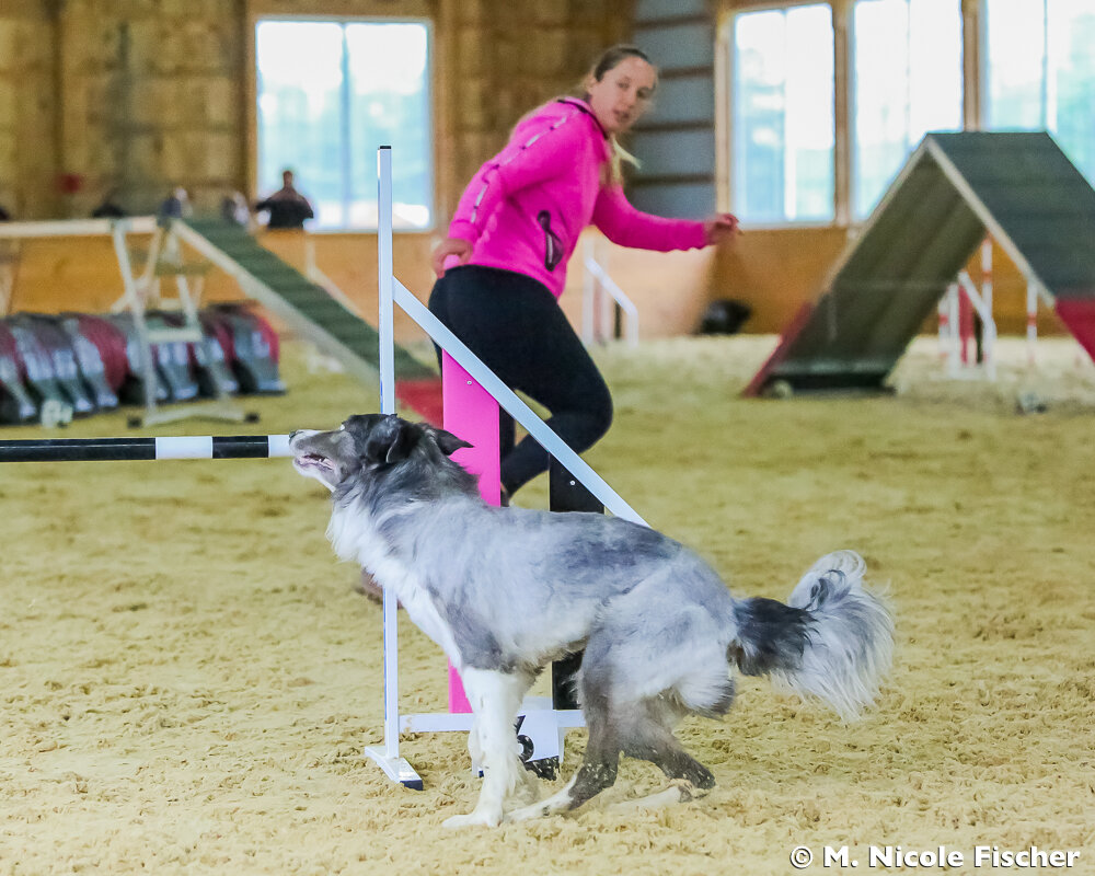 Meet Grace Heck! — Hounds of Heck