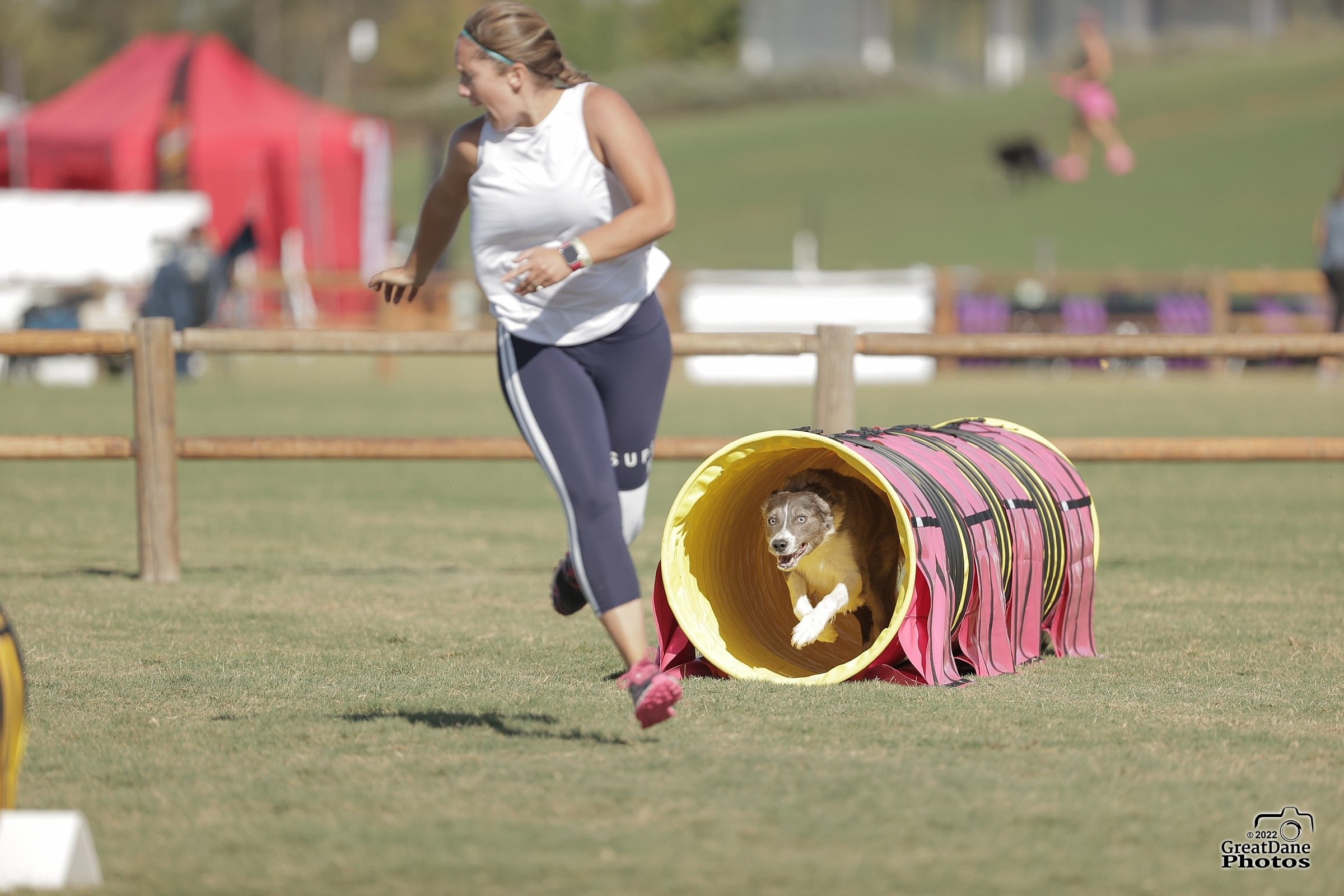 Meet Grace Heck! — Hounds of Heck