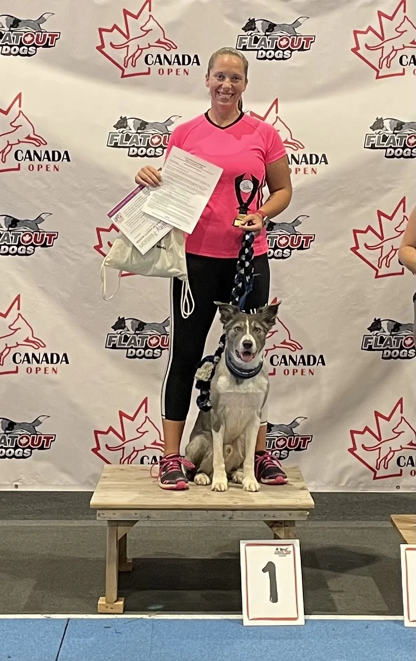 Meet Grace! — Hounds of Heck