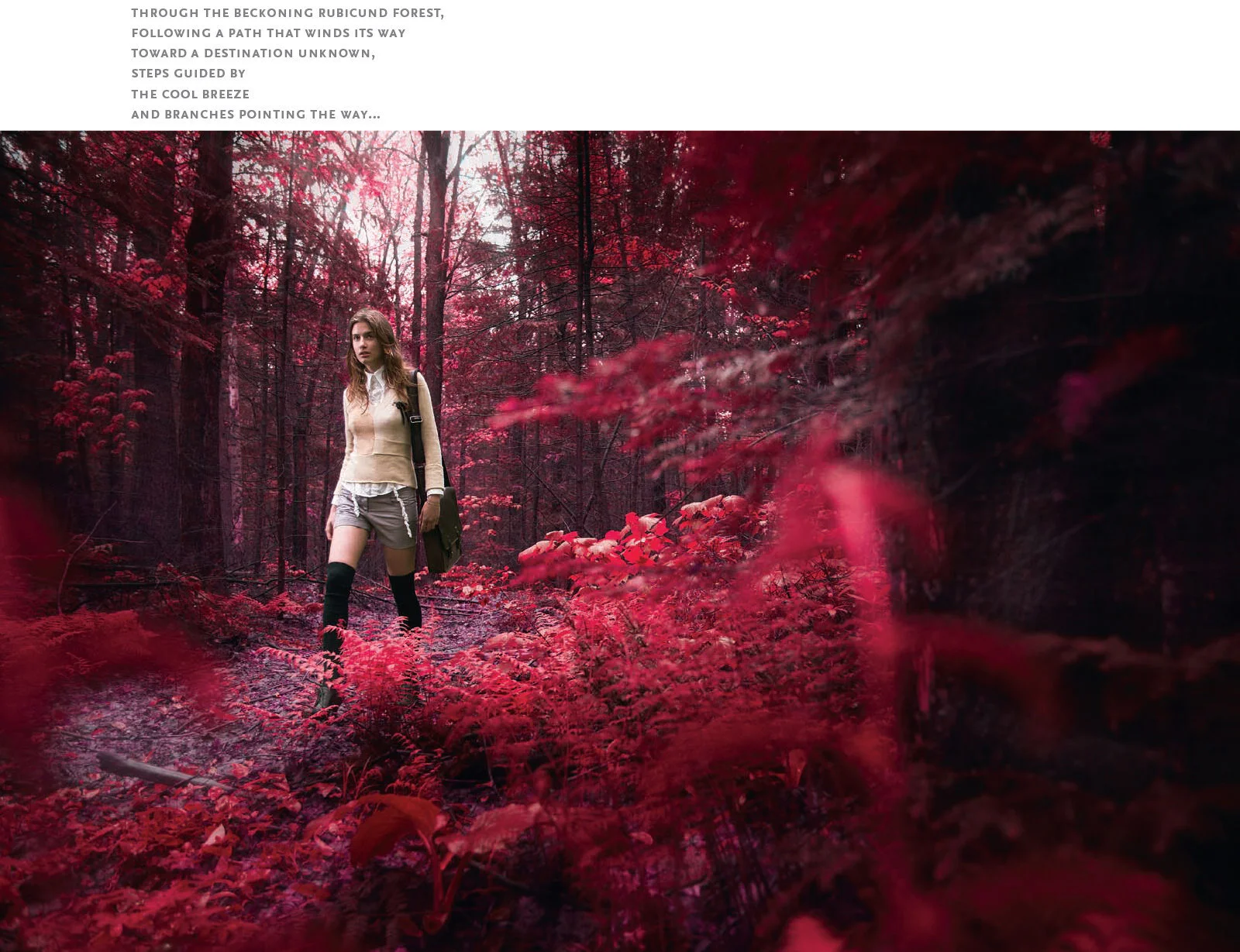 ABOUT — YANICK DÉRY PHOTOGRAPHE