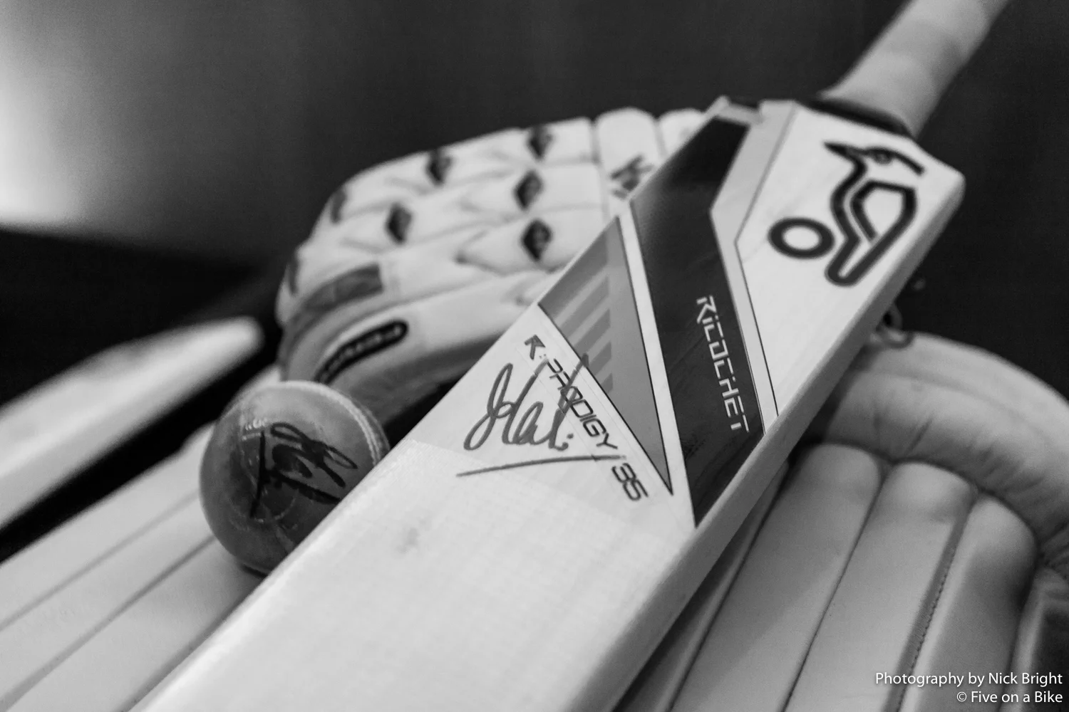 for your event — PHOTOS BY BRIGHT