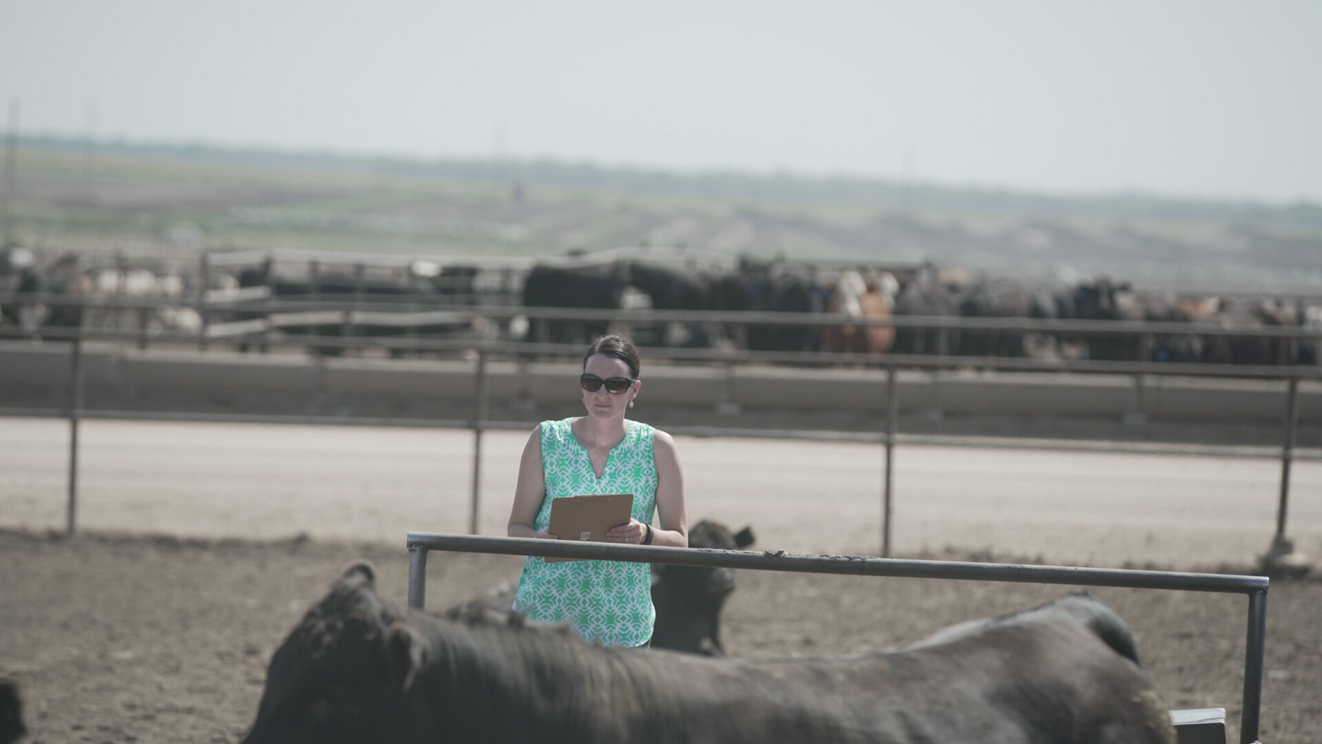 Our Process — Progressive Beef