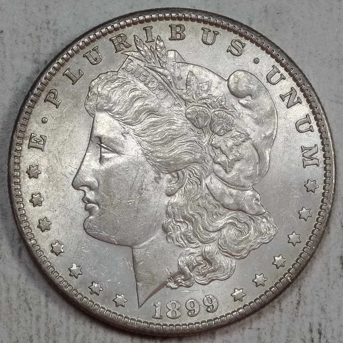 1899-S Morgan Dollar, Choice Almost Uncirculated, Original Semi Key ...