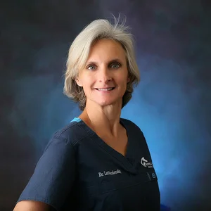 About Us — Animals First Veterinary Service