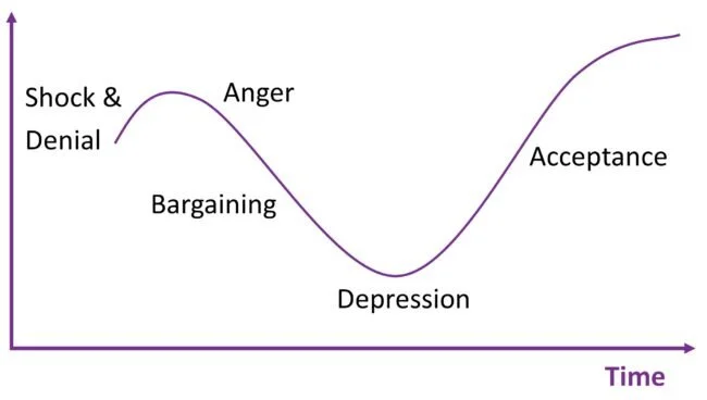 Grief And Loss Cycle