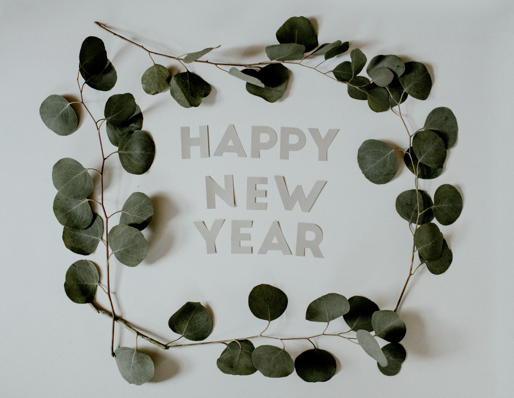 The Year That Was and The One to Come — soulplay.ca
