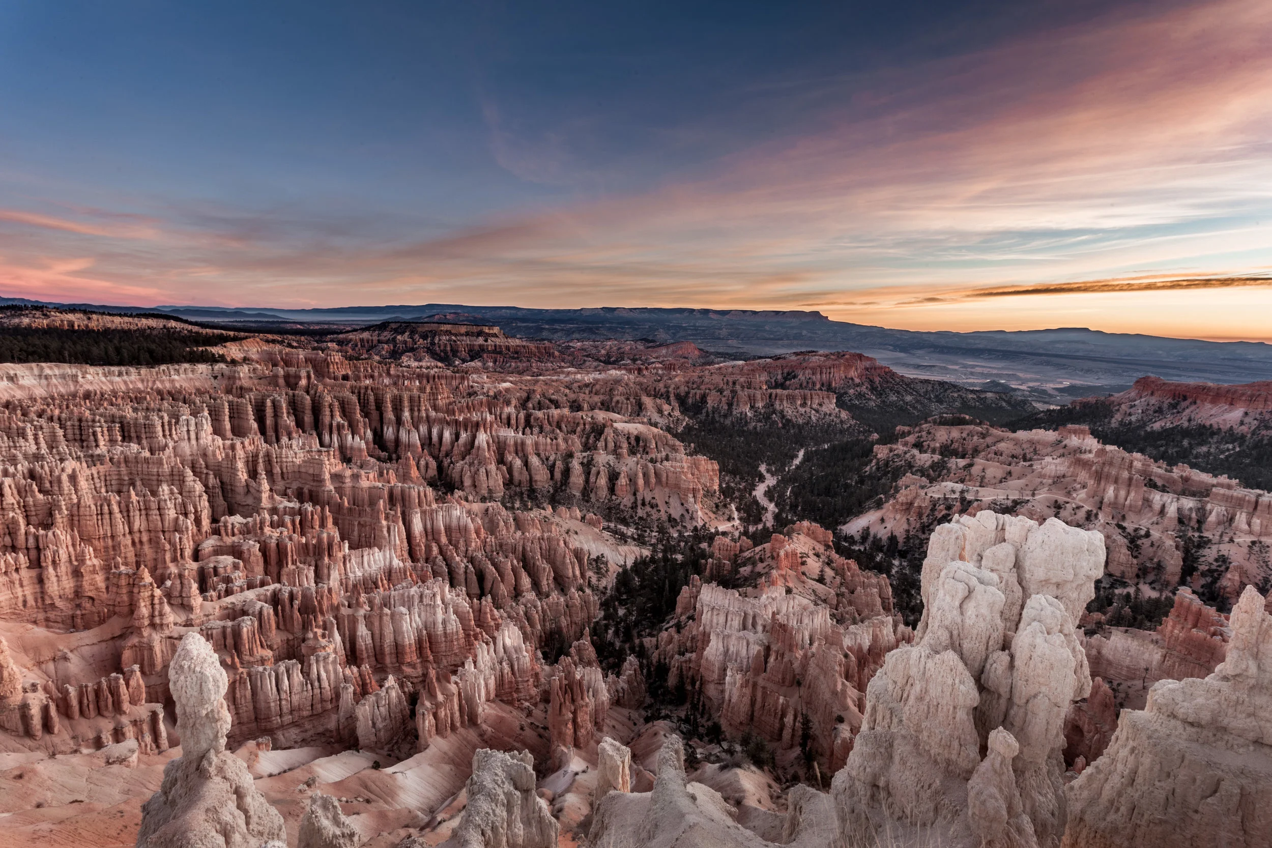 Susan Chou Photography