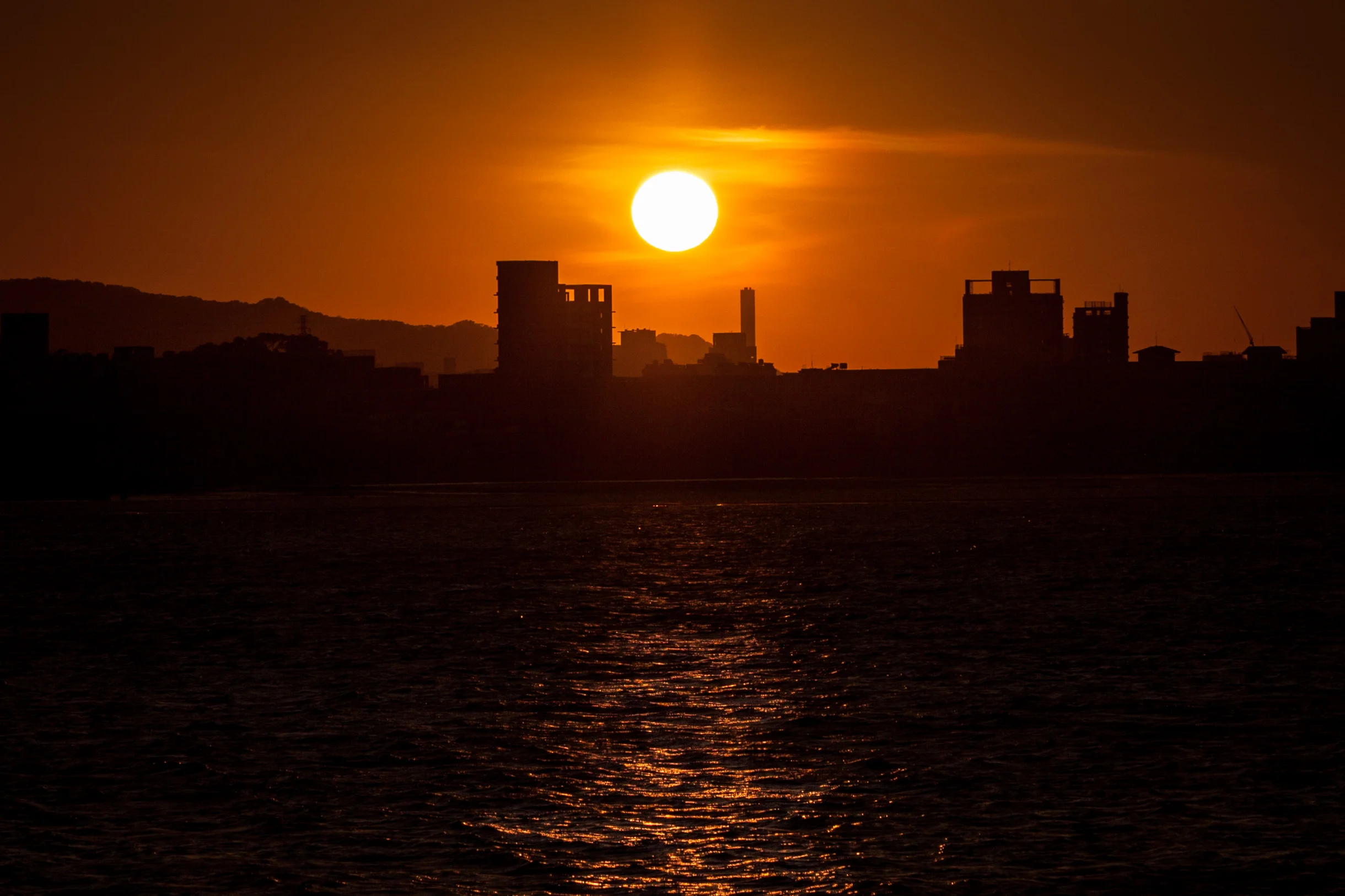 Susan Chou Photography