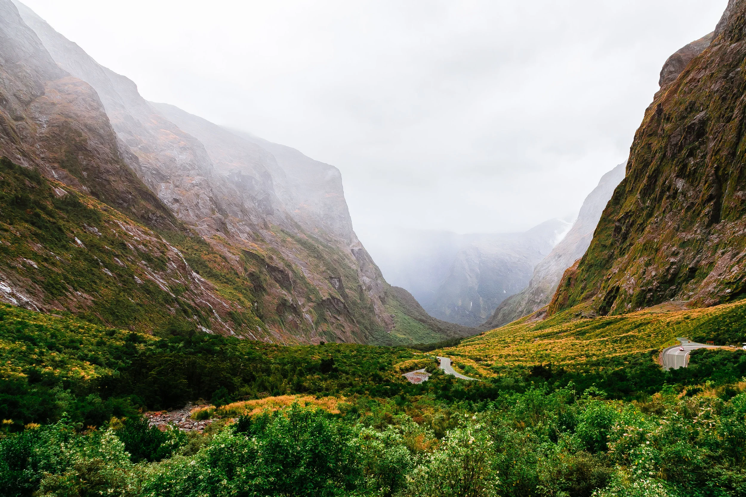 Susan Chou Photography