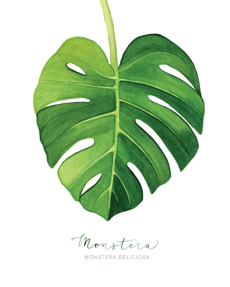 Illustration Portfolio Page 2 — Alicia's Infinity