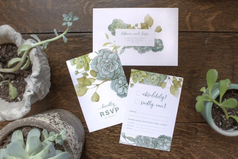 Succulent Watercolour — Alicia's Infinity