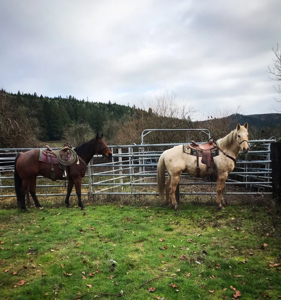 Knee Deep Cattle Co.