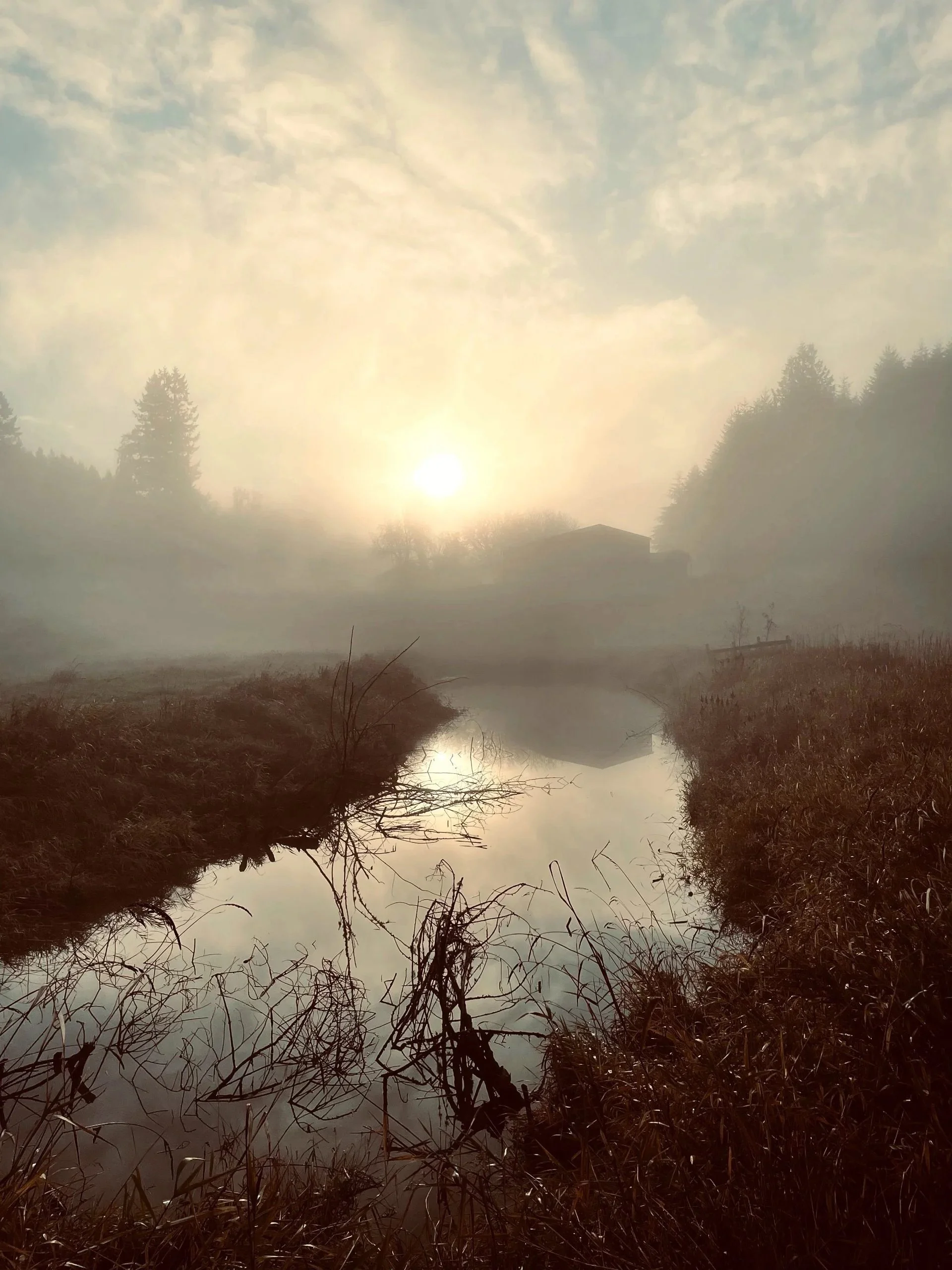 Store — Yoga Engineer