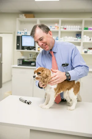 Village Veterinary Clinic