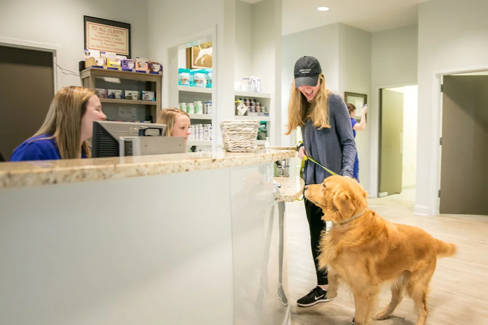 OUR PRACTICE — Village Veterinary Clinic