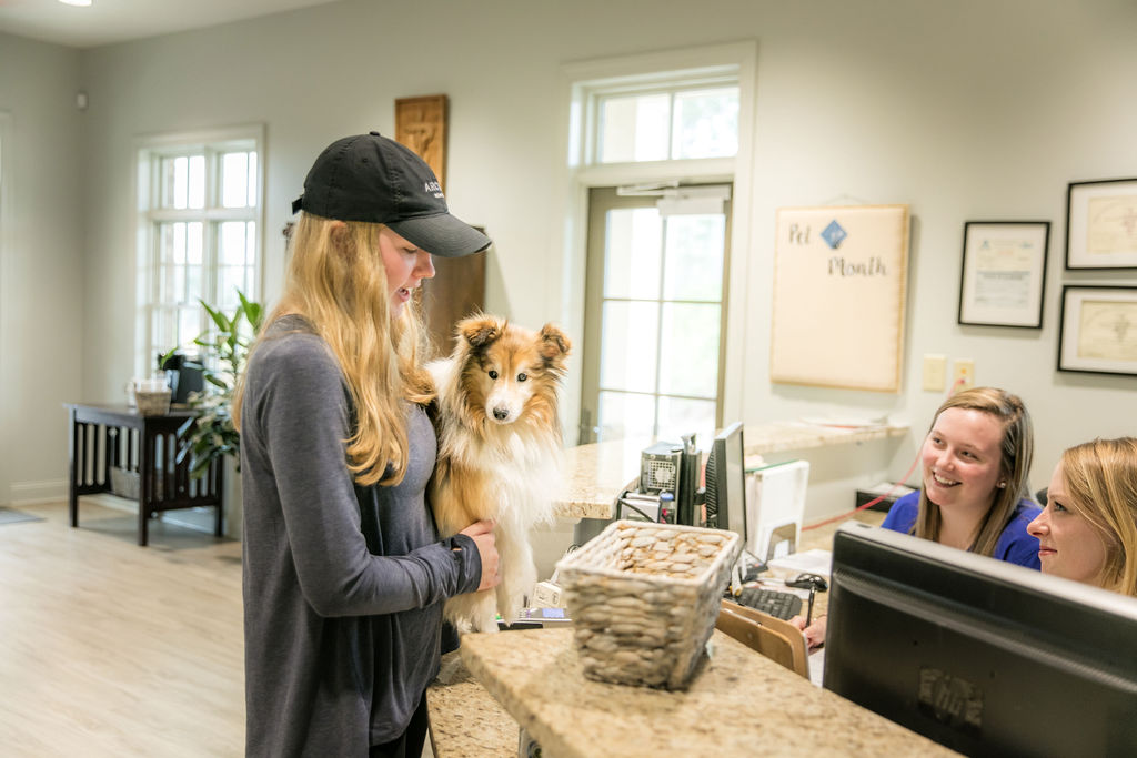 ABOUT US — Village Veterinary Clinic