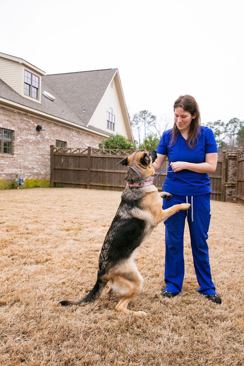 ABOUT US — Village Veterinary Clinic