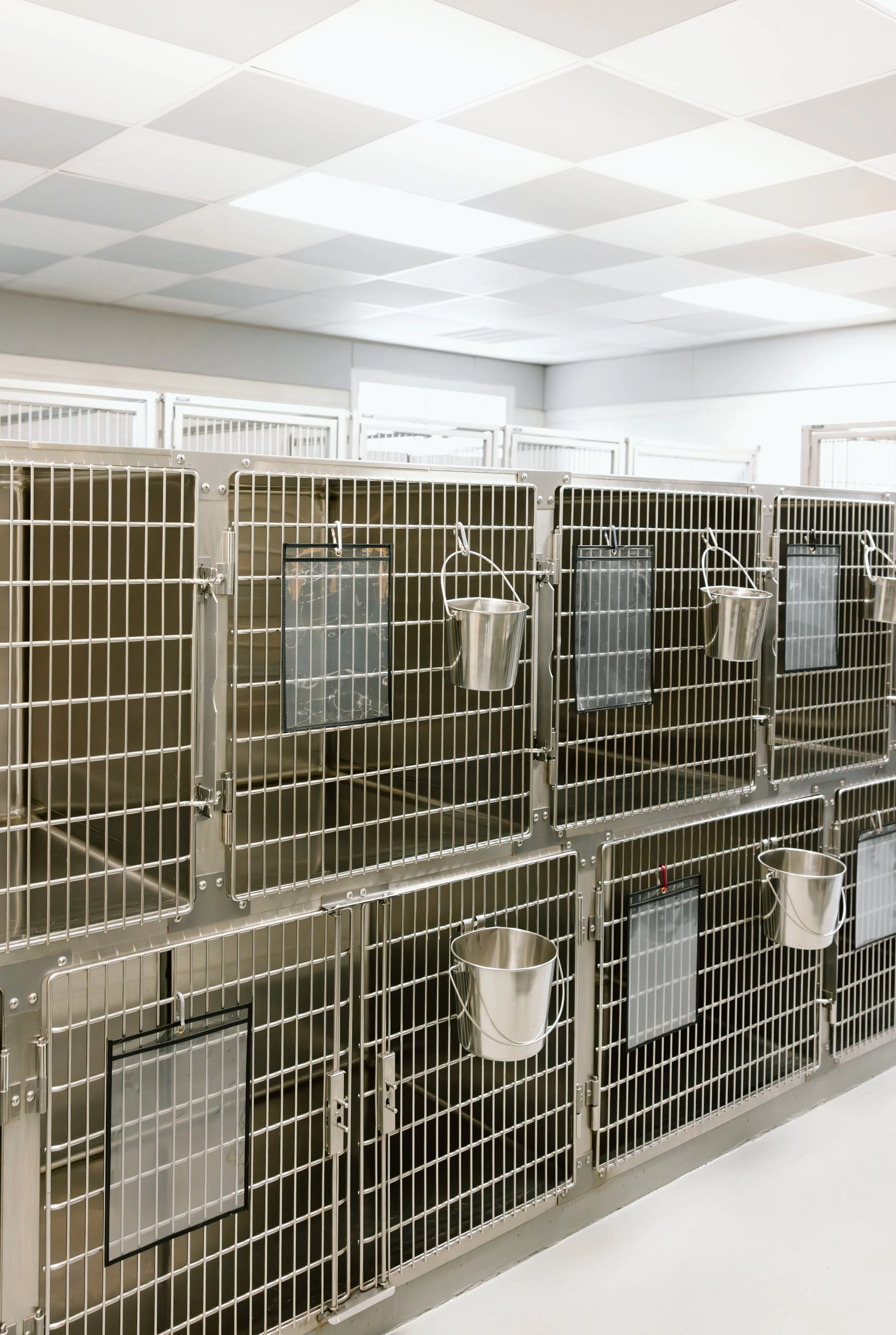 SERVICES — Village Veterinary Clinic