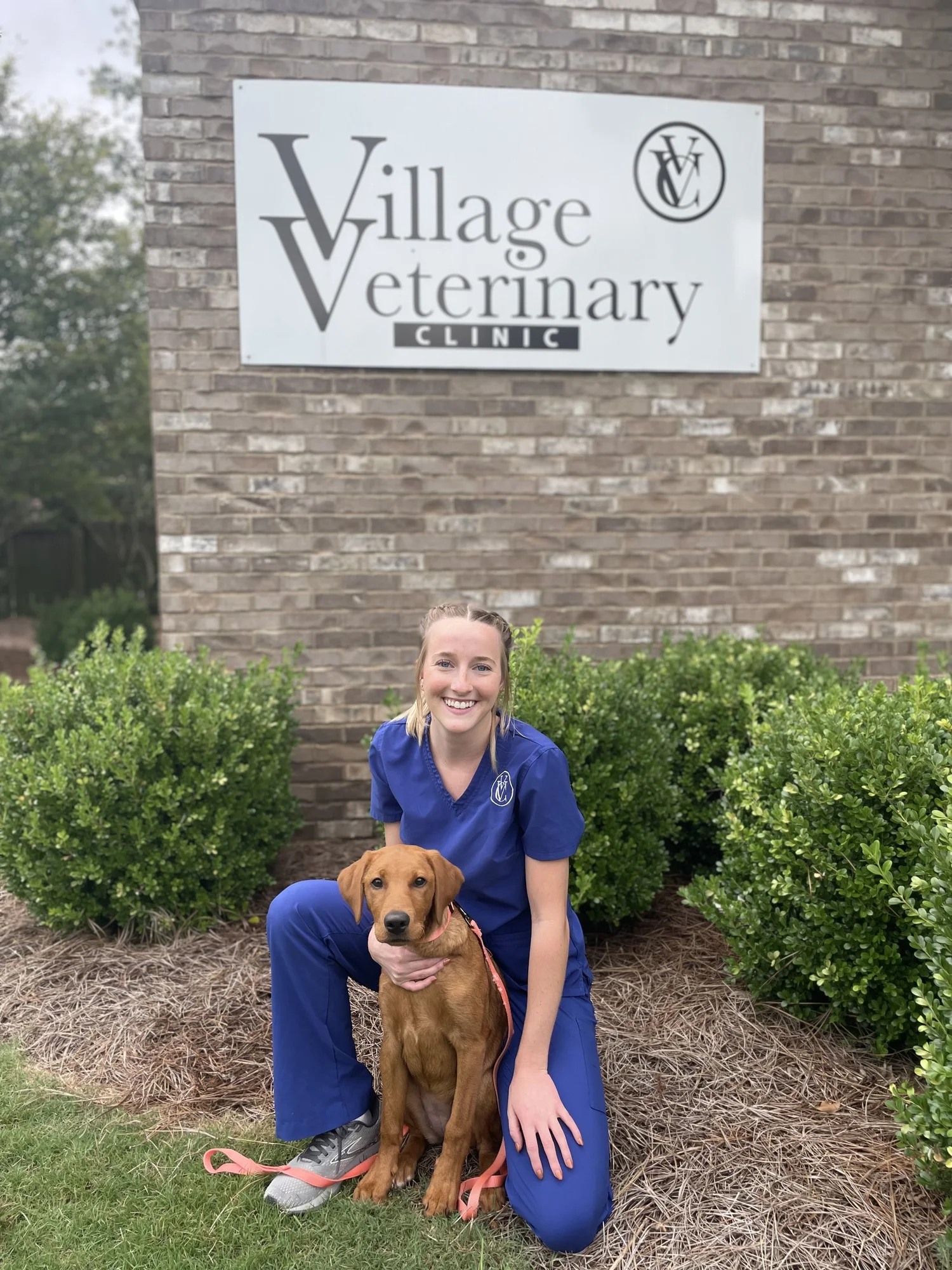STAFF — Village Veterinary Clinic